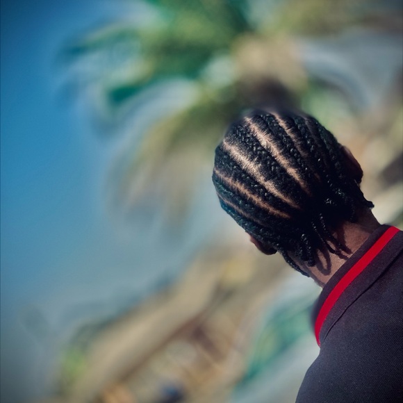 emma west | Hair | Intricate Black And Red Cornrow Braids For Wigs And ...